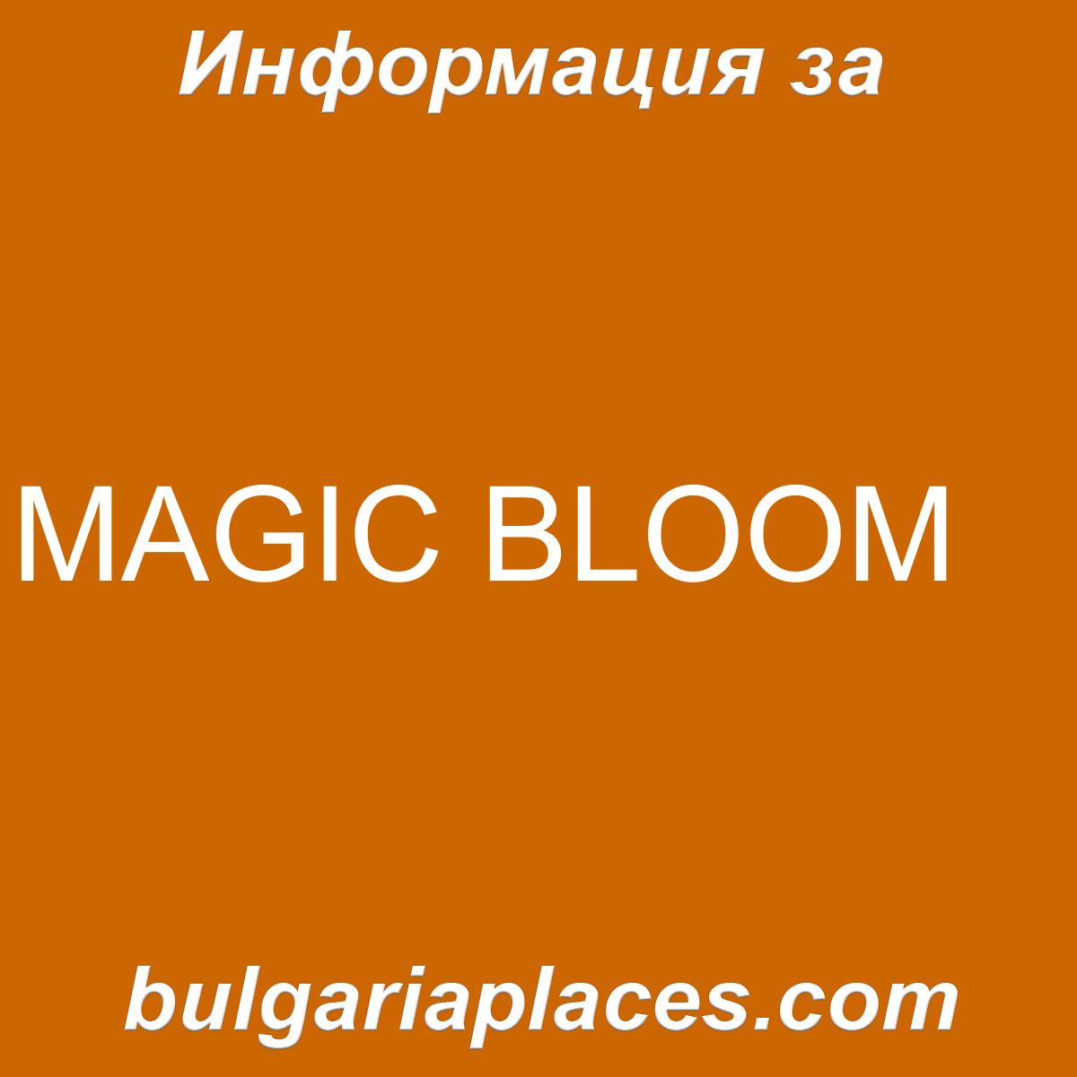 MAGIC BLOOM - Работно Време, Адрес, Телефон